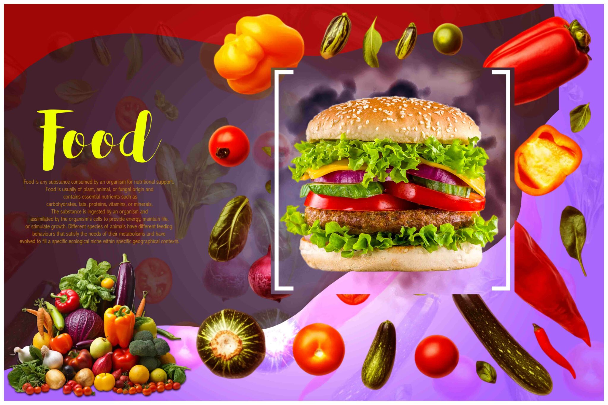 barger food template - MasterBundles