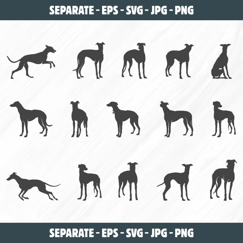 Greyhound Svg, Greyhound Dog Silhouette, Greyhound Dog Svg, Greyhound ...