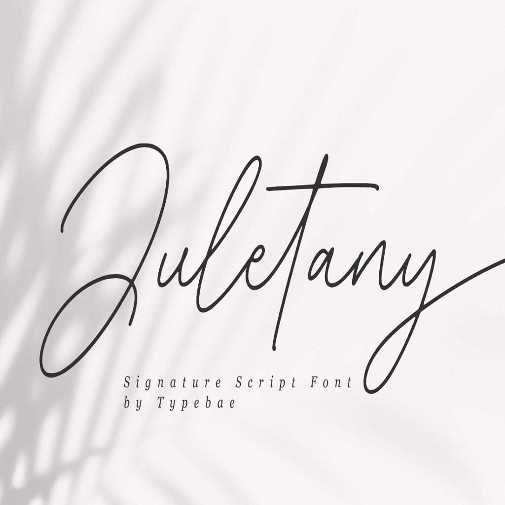 Juletany Signature Script Font - MasterBundles