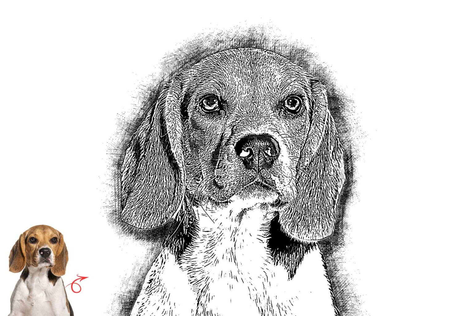 Engraved Effect Photoshop Action - MasterBundles
