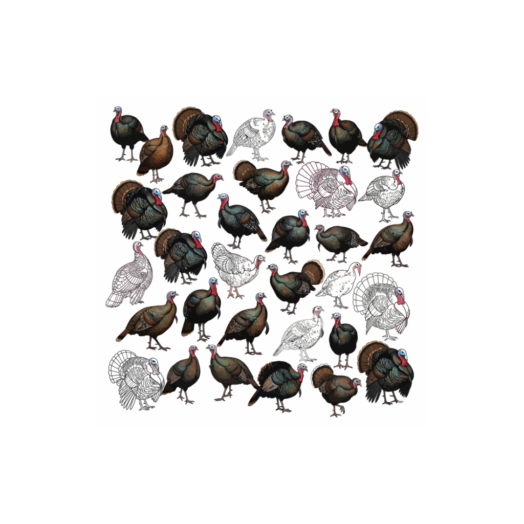 Vector Thanksgiving Pies – MasterBundles