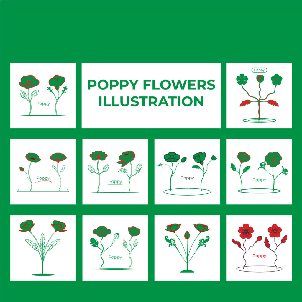 Stylized Poppy Flowers Illustration - MasterBundles