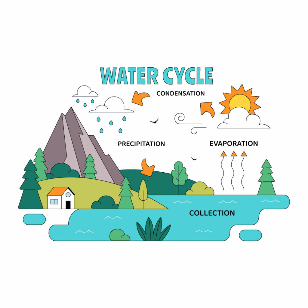 10 Water Cycle Illustration - MasterBundles