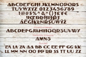 TypeFaith Grunge Bundle: 18 Grunge Script Fonts - just $9 – MasterBundles