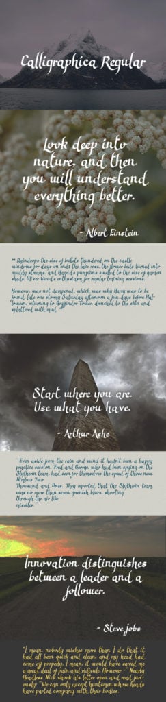 Simple Clean Fonts | 10 Versatile Simple Clean Fonts to Give Your ...