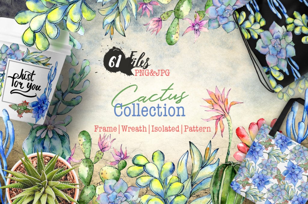 Succulents Cactus PNG Watercolor – MasterBundles