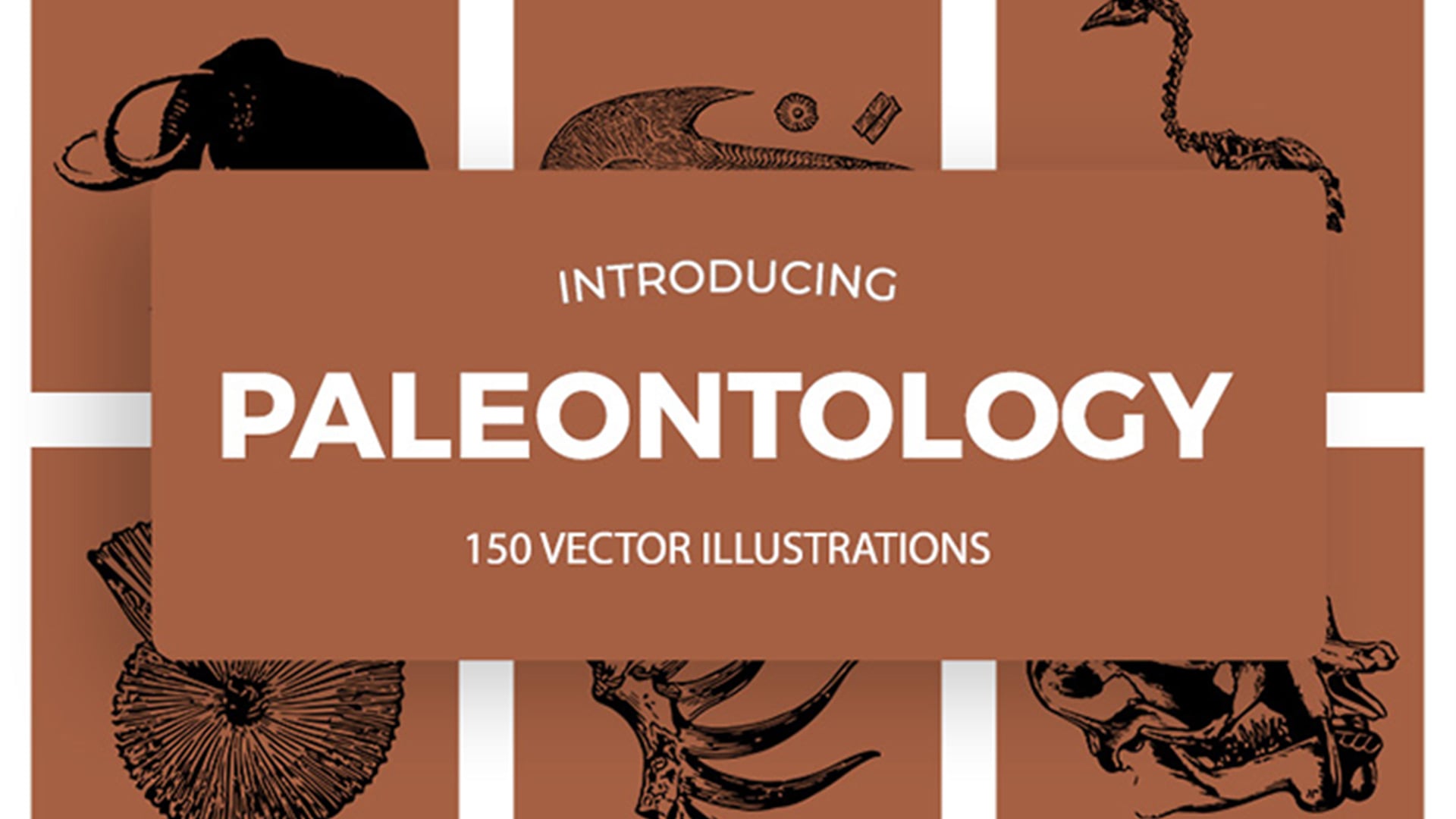 Vintage Paleontology Vector Illustrations [150 Items] – MasterBundles