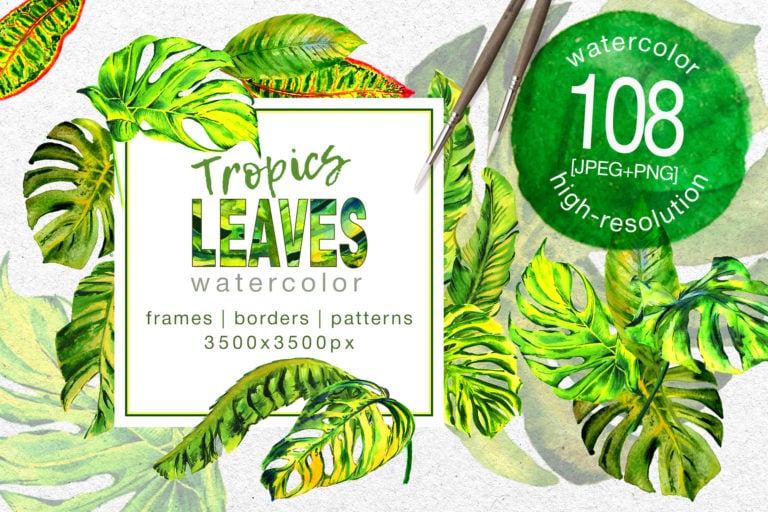 Tropics Leaves Monstera PNG Watercolor Set – MasterBundles