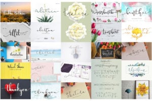 Stylish Calligraphy Fonts - 156 Fonts of 62 Typefaces – MasterBundles