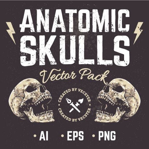 Skull Vector Pack 2022: Anatomic Hand Drawn Skulls | Master Bundles