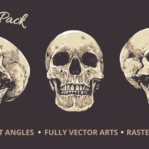 Skull Vector Pack 2022: Anatomic Hand Drawn Skulls | Master Bundles