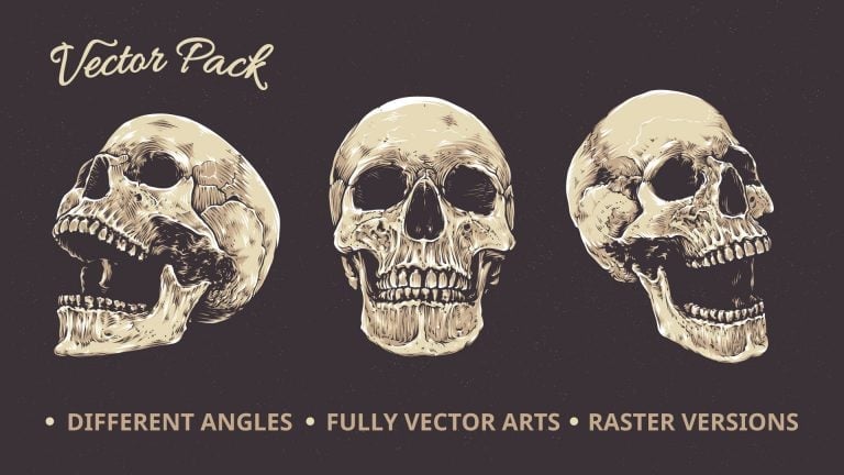 Skull Vector Pack 2022: Anatomic Hand Drawn Skulls – MasterBundles