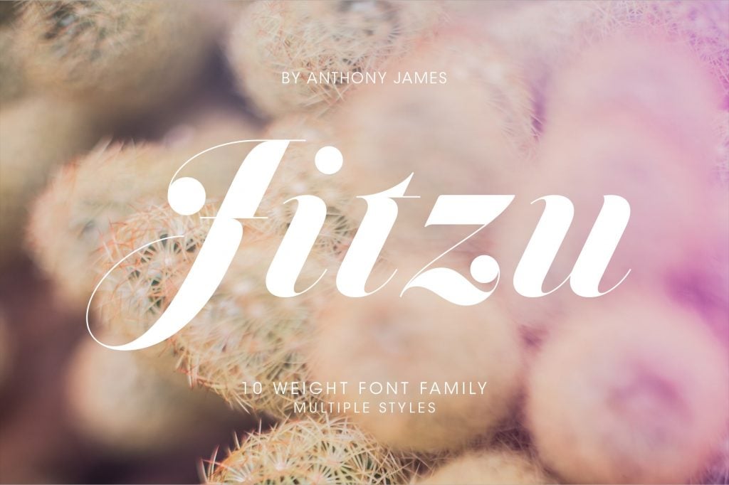 Simple Fonts - 33 Fonts in 13 Families Bundle | Master Bundles