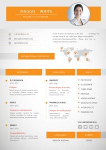 8 Federal Government Resume Templates - $10 ONLY – MasterBundles