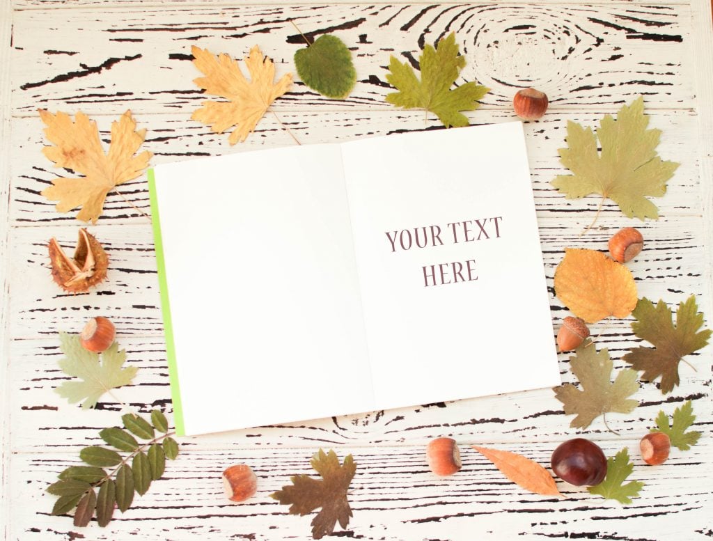 Autumn Journey Mockups & Photos Bundle – MasterBundles