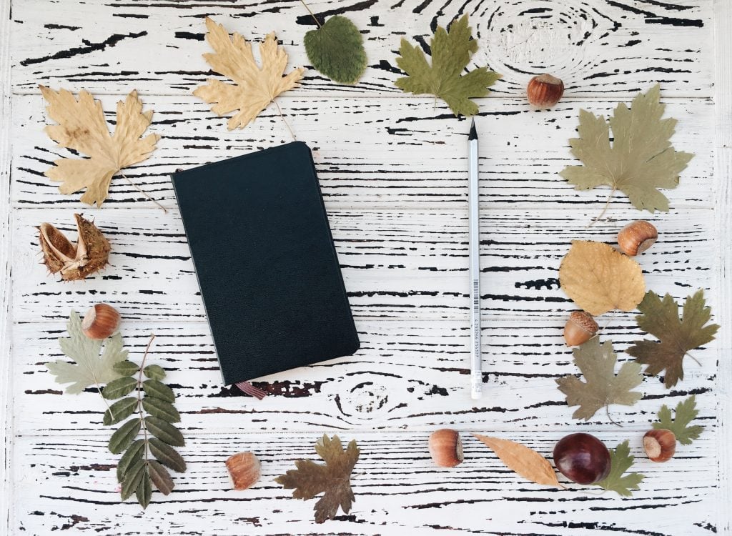 Autumn Journey Mockups & Photos Bundle – MasterBundles