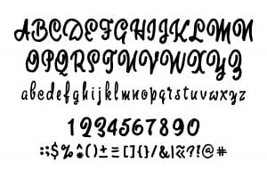 12 Best Fonts for Vinyl Lettering in 2021 | Master Bundles