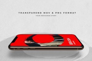 12 Animated Painted Masks [Gold Foil Instagram Stories] - $10 | Master ...