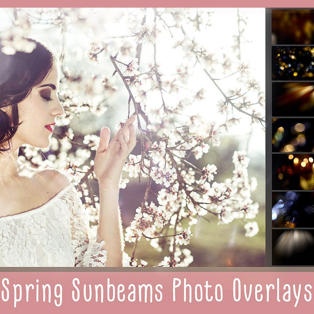 42 Spring Sunbeams Photo Overlays - $8 – MasterBundles
