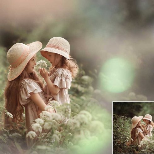 40 Magical Summer Backdrops Light Bokeh Textures - $8 – MasterBundles