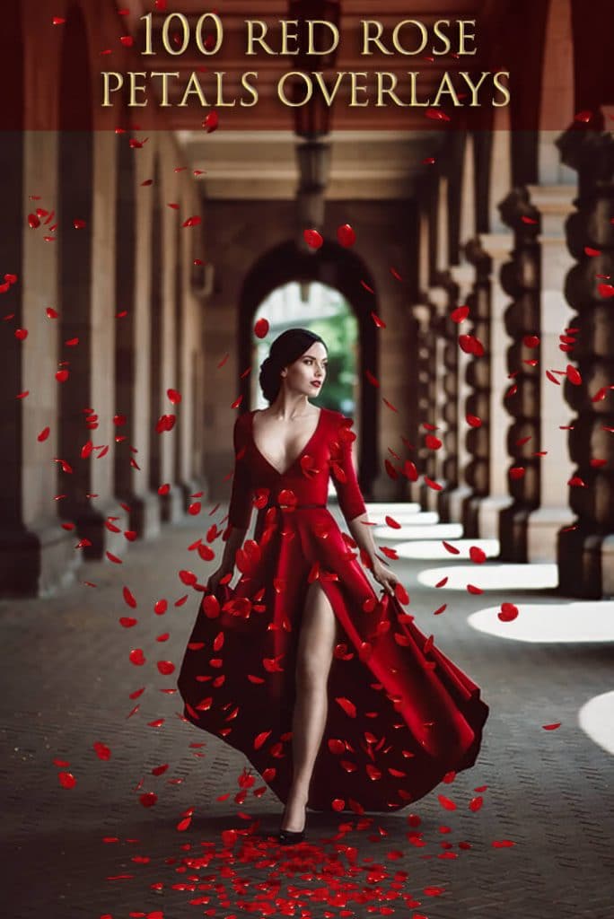 5000+ Professional Overlays in 2021 - Only $49 – MasterBundles