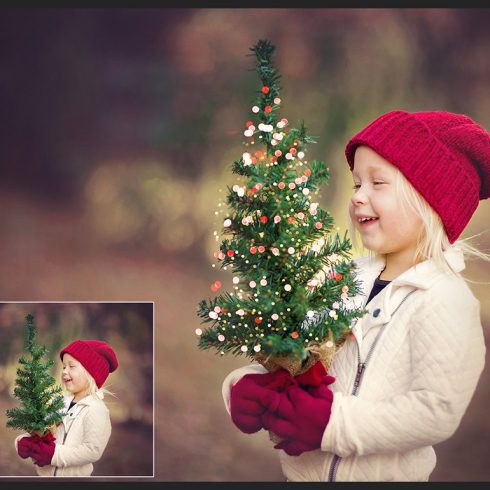 Christmas Trees Lights Overlays - $8 | Master Bundles