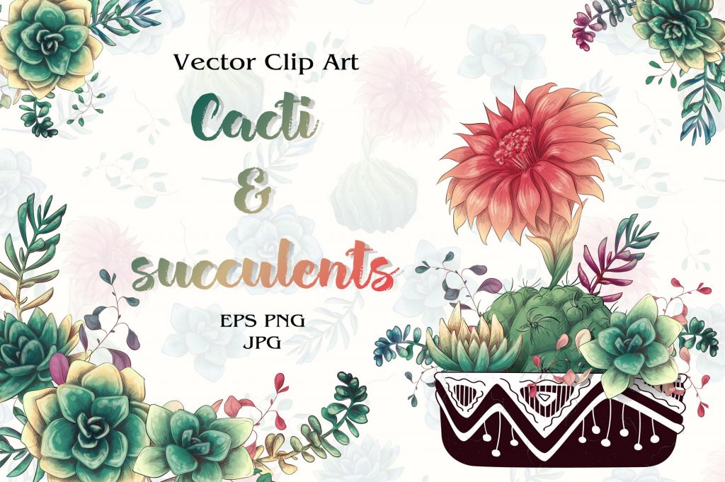 Cute Cactus Clipart: Cacti & Succulents Vectors – MasterBundles