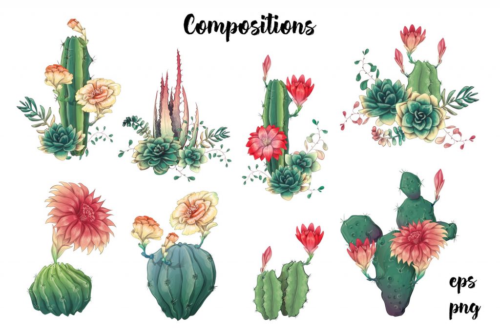 Cute Cactus Clipart: Cacti & Succulents Vectors – MasterBundles