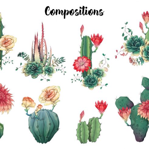Cute Cactus Clipart: Cacti & Succulents Vectors | Master Bundles