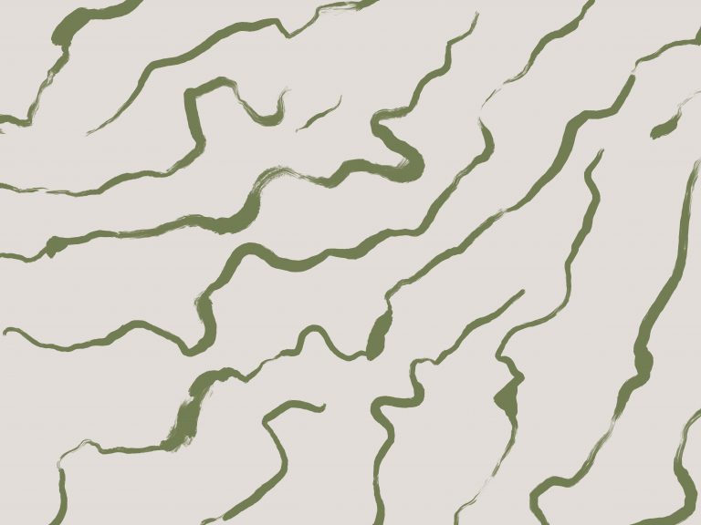 Free Minimal Wrapping Paper - 4 Types – MasterBundles