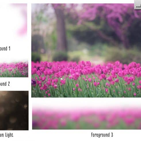 Spring Tulips Backdrop Photoshop Add-Ons - $9 – MasterBundles