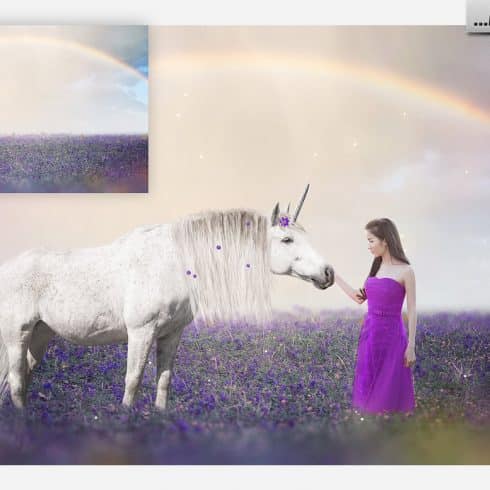 20 Unicorn Overlays Pack & Backdrops | PNG | Master Bundles