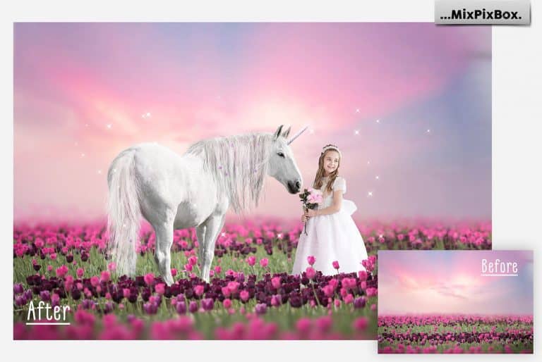 20 Unicorn Overlays Pack & Backdrops | PNG – MasterBundles