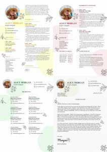 Product Manager Resume: 2 Templates in 5 color Schemes – MasterBundles