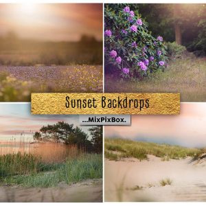 Sunset Backdrops: High Resolution, 300 DPI | Master Bundles
