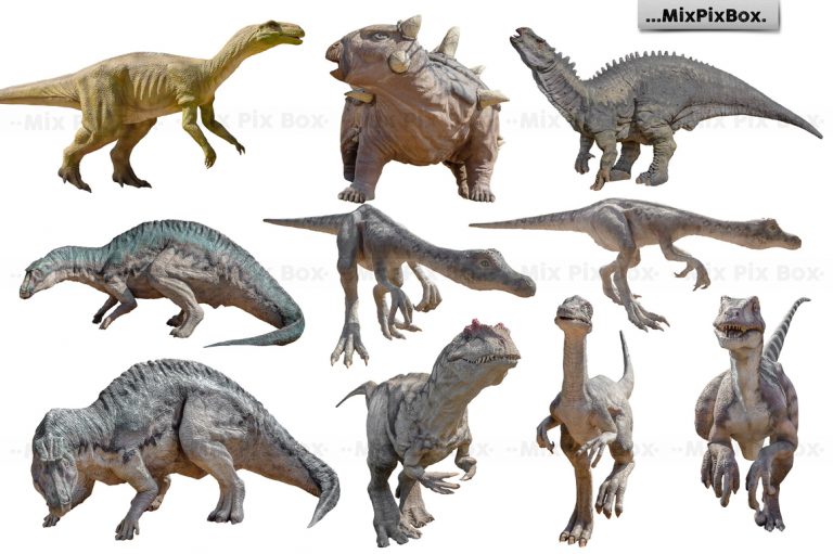 Dinosaur Overlay Bundle: 34 PNG Photo Overlays – MasterBundles