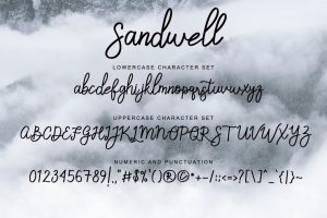 Sandwell Curly Script Font – MasterBundles