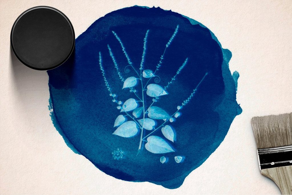 Best CYANOTYPE Digital Effect Bundle 2021