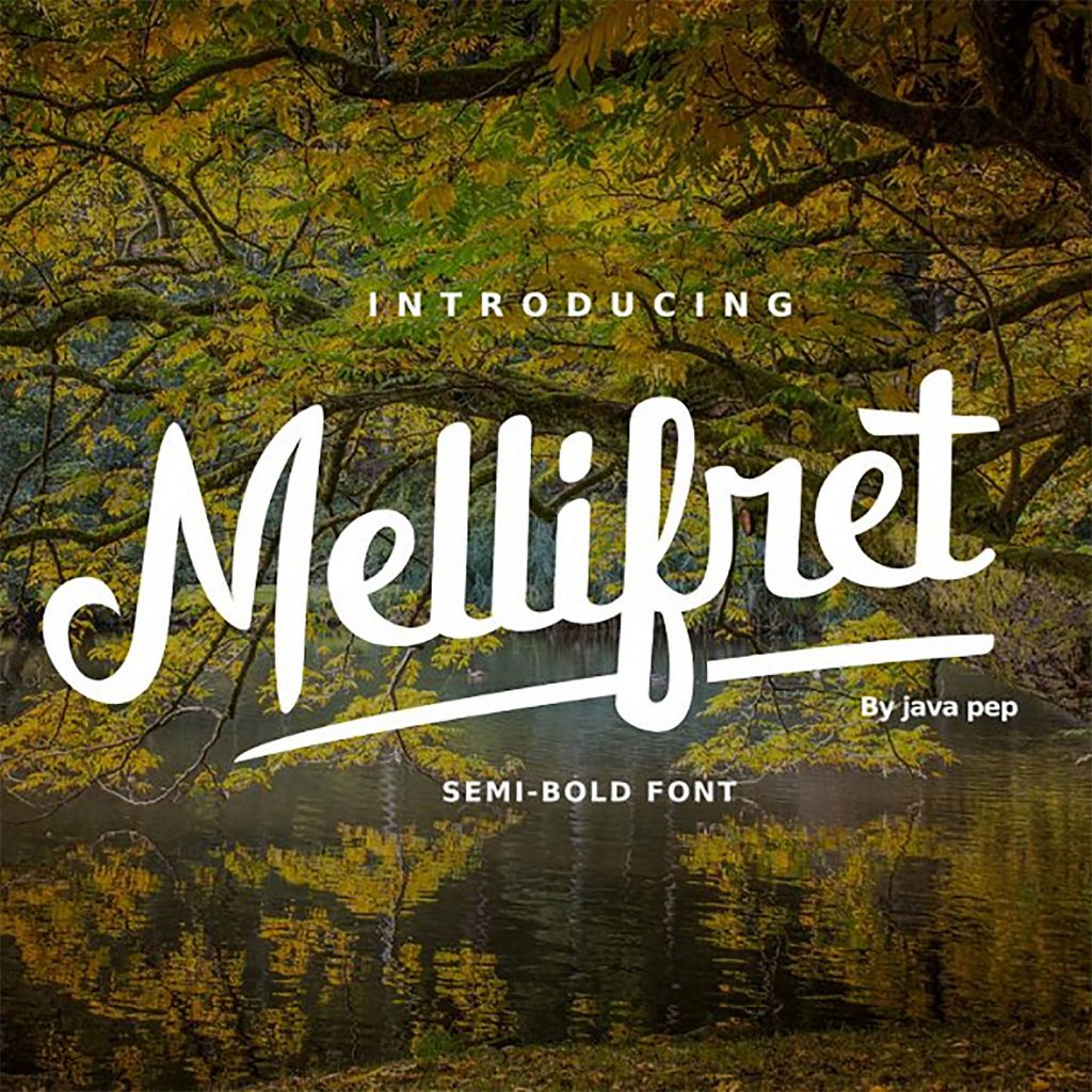 Mellifret French Script Font – MasterBundles