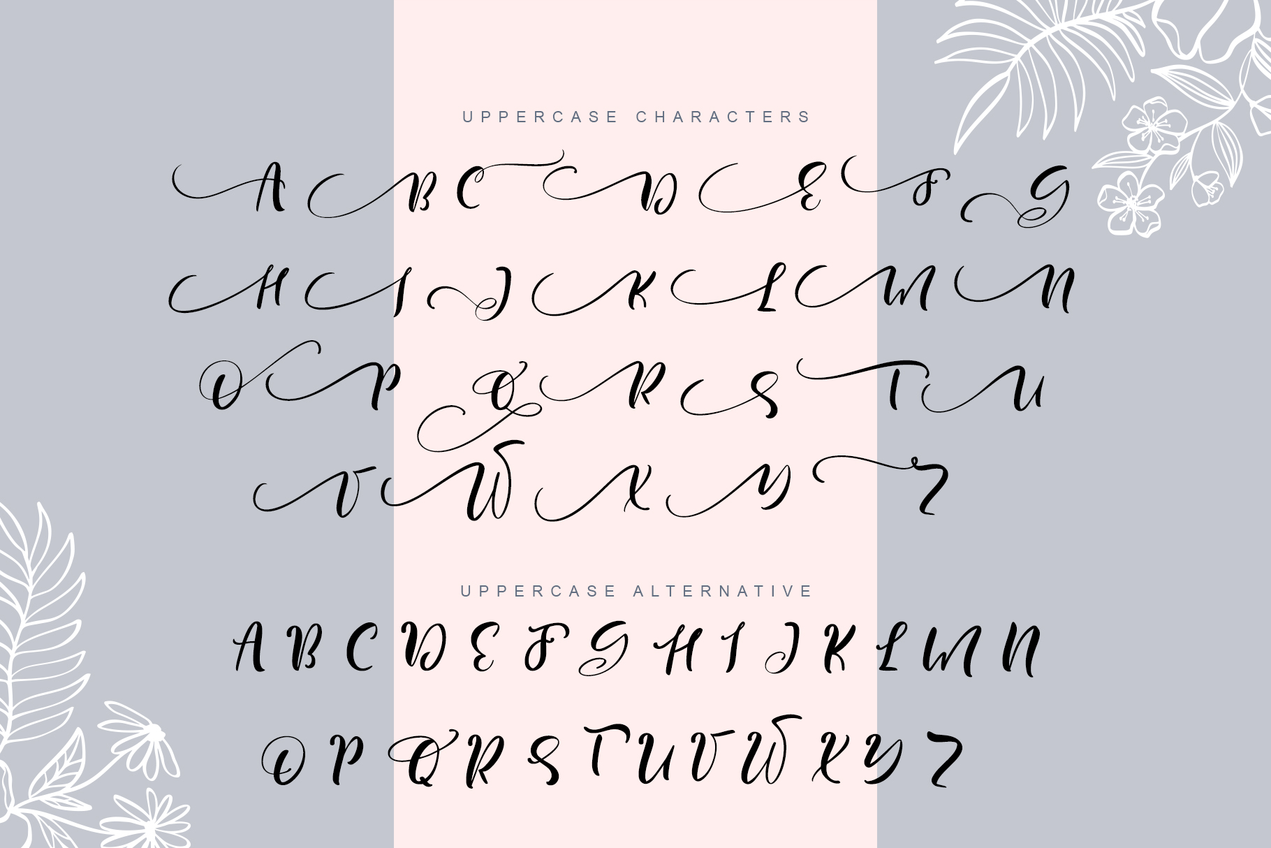 Calligraphy Alphabet