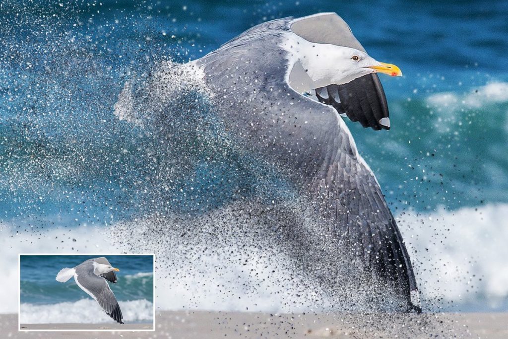 Sand Dissolve Photoshop Add-Ons – MasterBundles