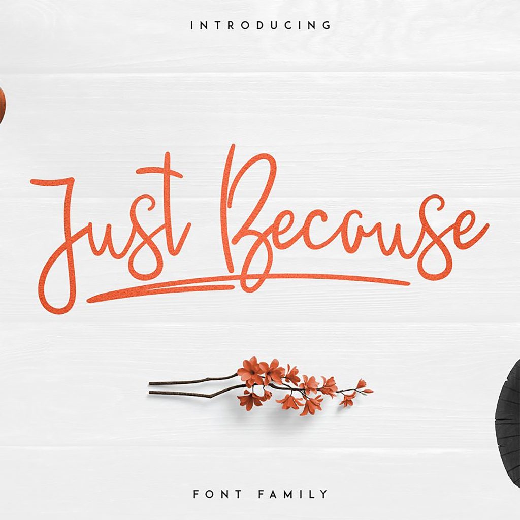 CS Rocky Font Family + Extras – MasterBundles