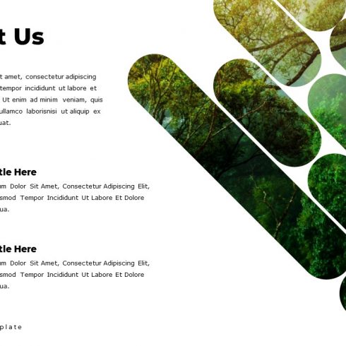 Nature Powerpoint Template and Google Slide Theme - Bonus: Keynote ...