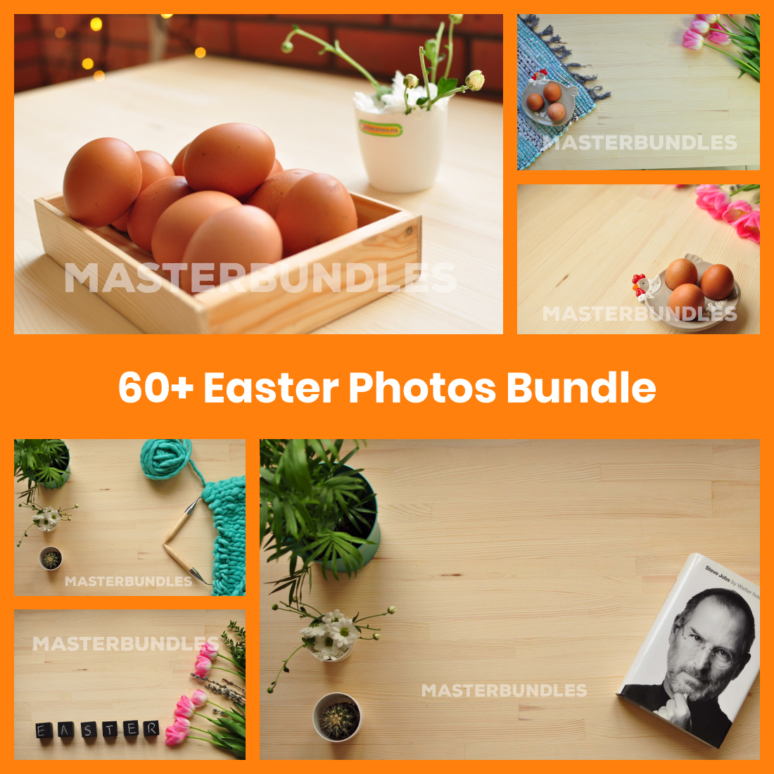 55+ Forest Cover Photos with Extended License. Photography Bundle ...