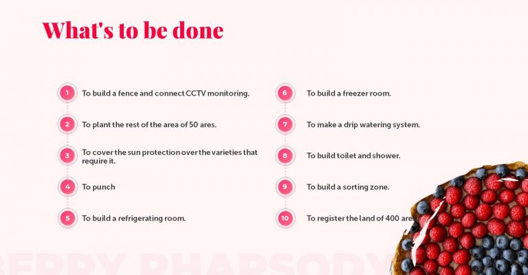 Feminine Presentation: Raspberry Powerpoint, Google Slides, Figma ...