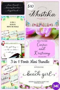 3 in 1 Fonts Mini Bundle - $10 Only – MasterBundles