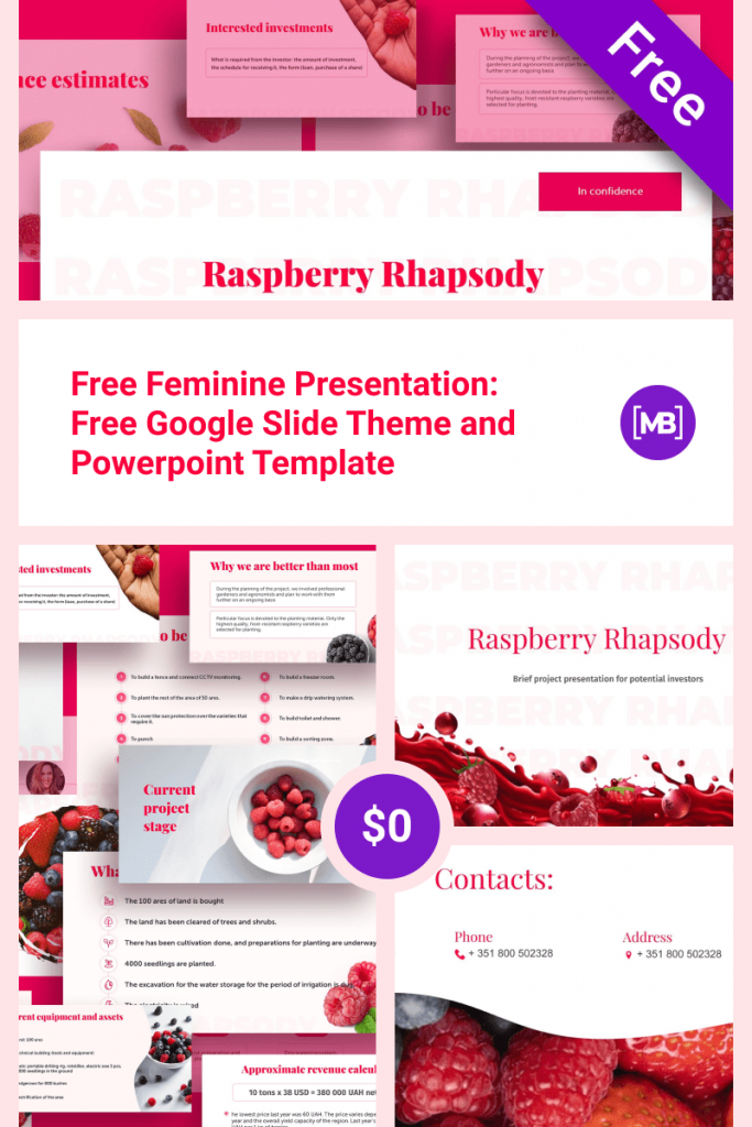 Free Feminine Presentation: Free Google Slide Theme and Powerpoint ...