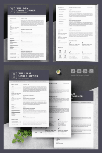 Computer Programmer Resume Template – MasterBundles