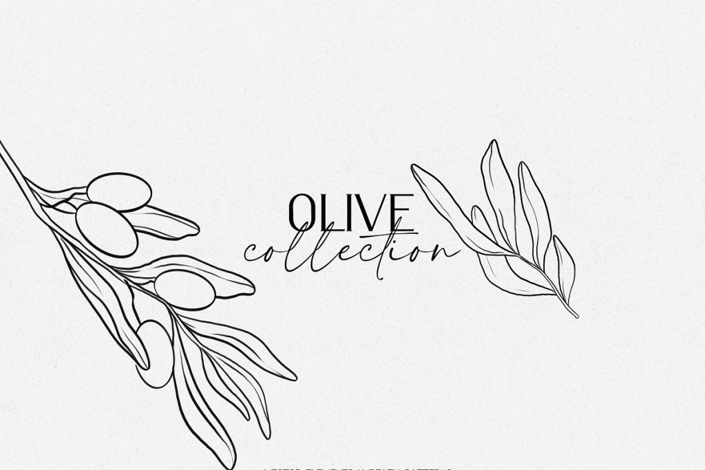 Olive Branch Outline Collection – MasterBundles