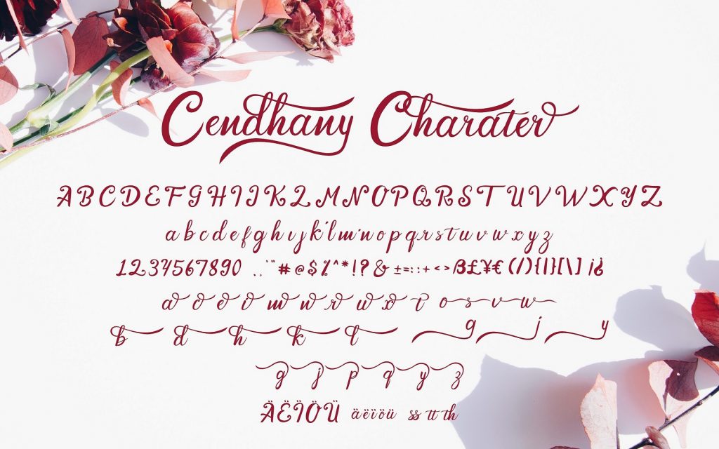 Hand Lettered Font Cendhany – MasterBundles